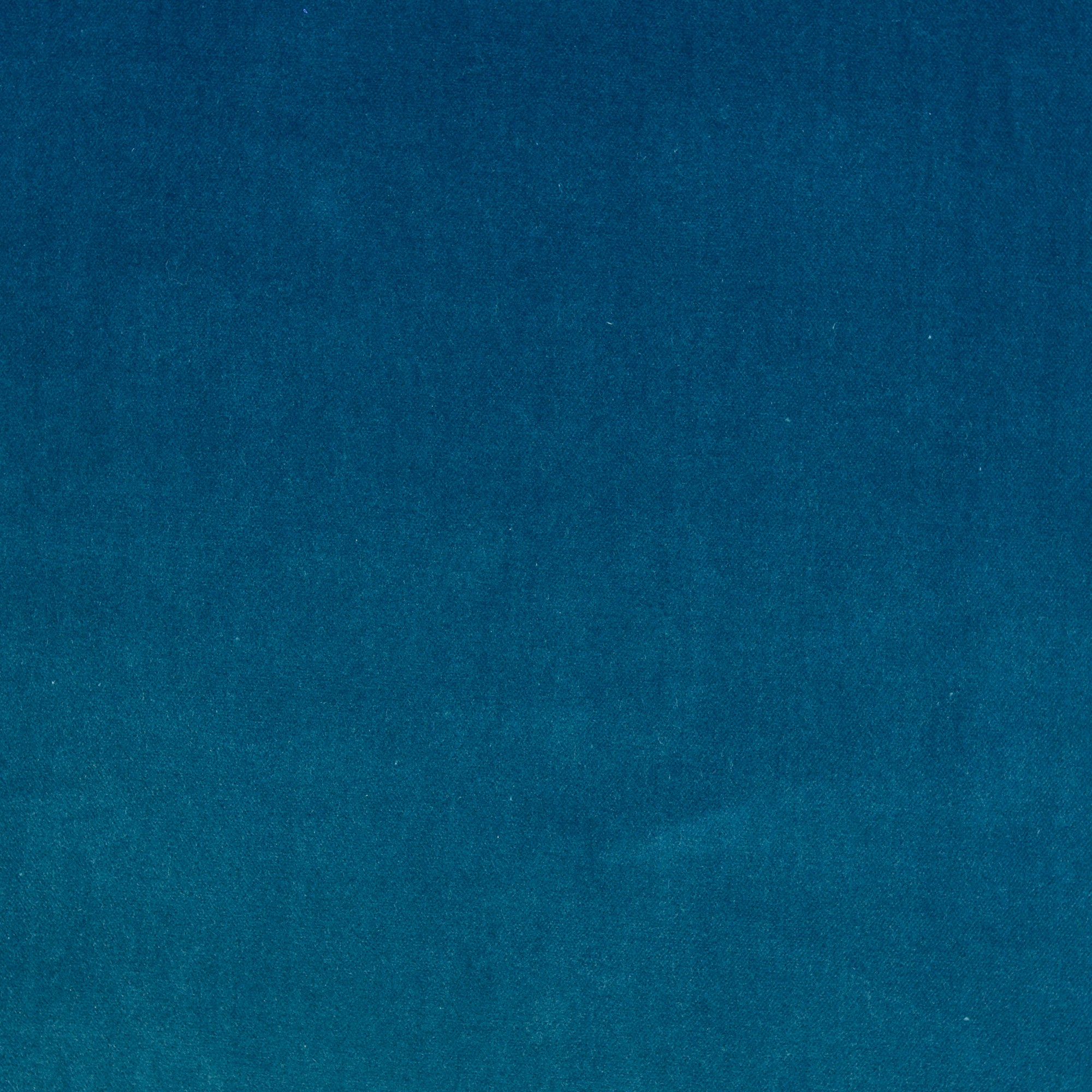Velours Tissu Unicolore Bleu Marine | Tissus en gros | Nooteboom Textiles