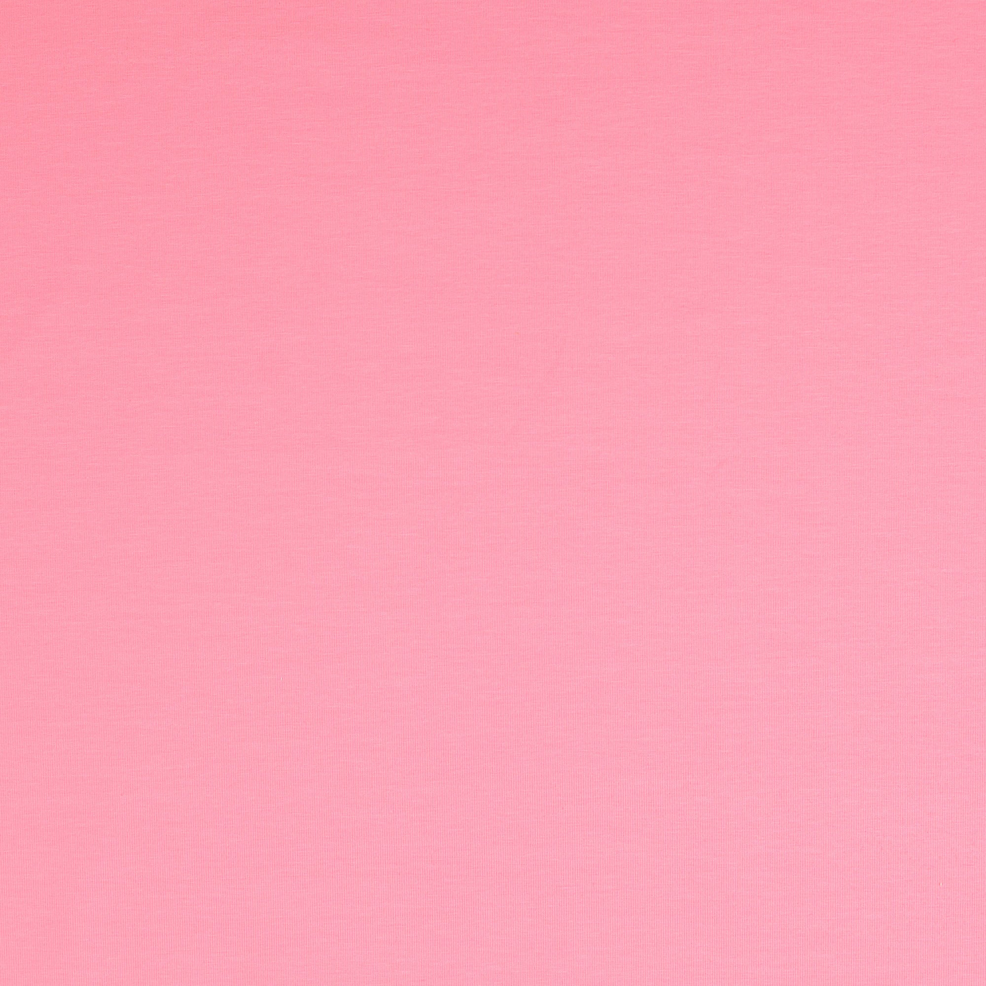 Cotton Jersey fabric Unicolour Light Pink | Wholesale fabrics ...
