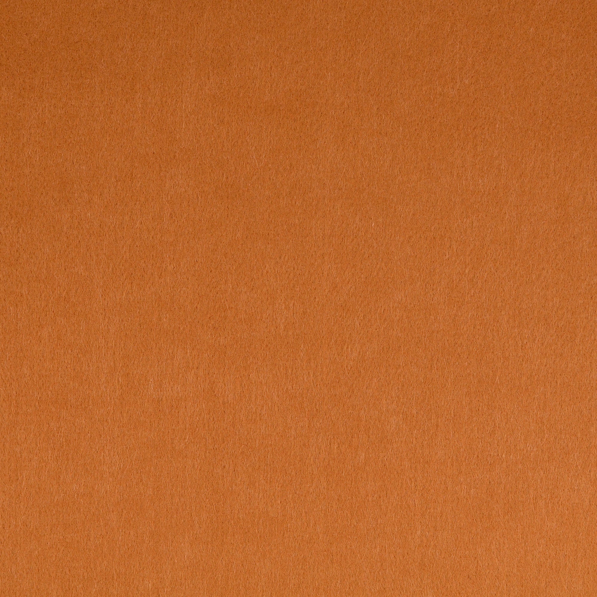 Filz Stoff Uni Beige | Stoff Großhandel | Nooteboom Textiles