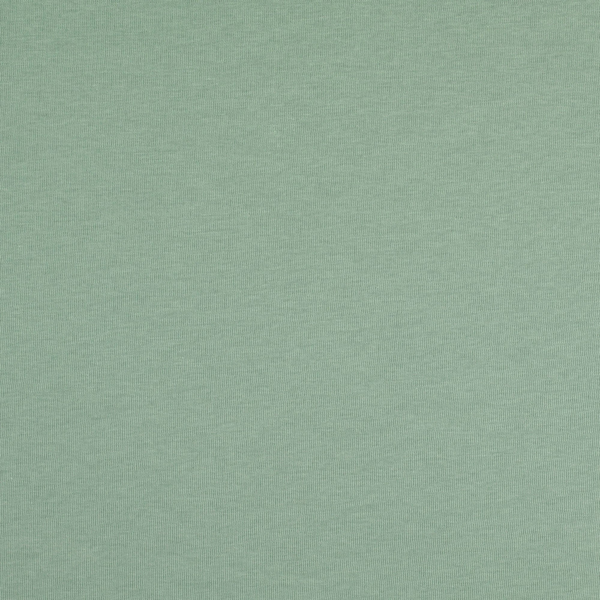 Jogging fabric Unicolour Apple Green | Wholesale fabrics | Nooteboom ...