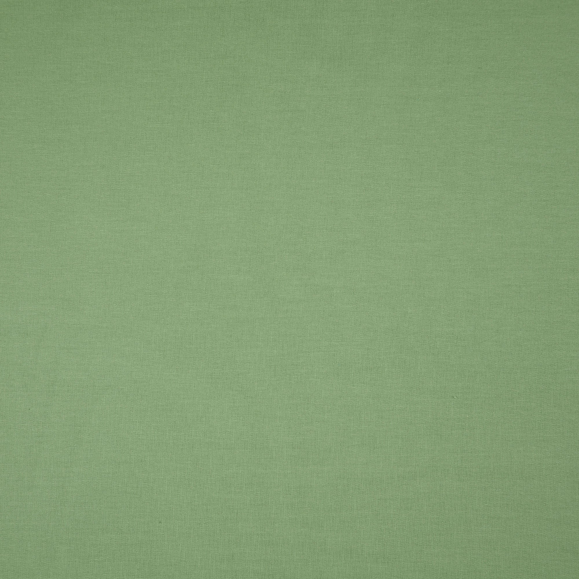 French Terry Tissu Unicolore Vert Olive | Tissus en gros | Nooteboom ...